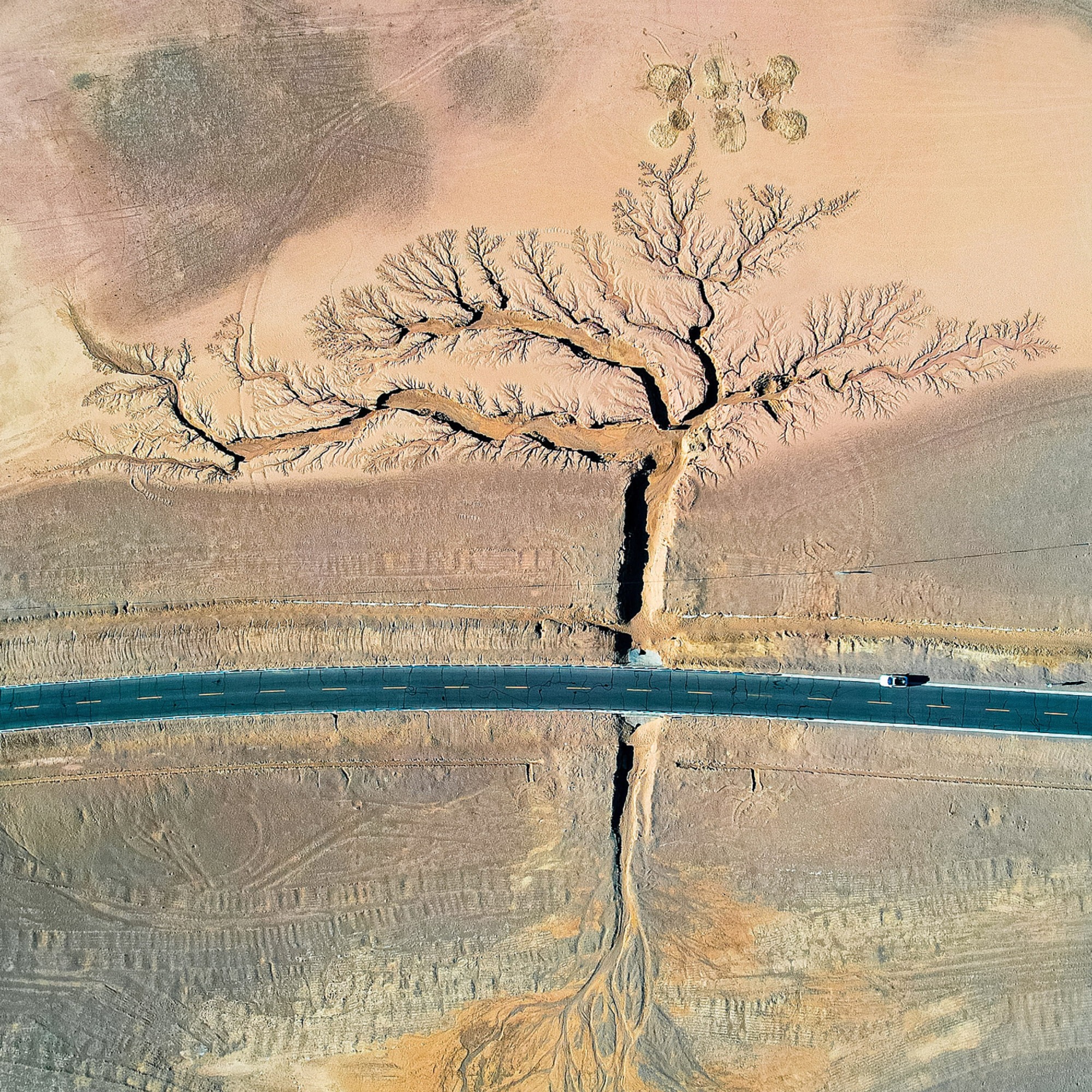 Liaoning Red Beach: A wondrous spectacle of nature | Snapshot of China ...