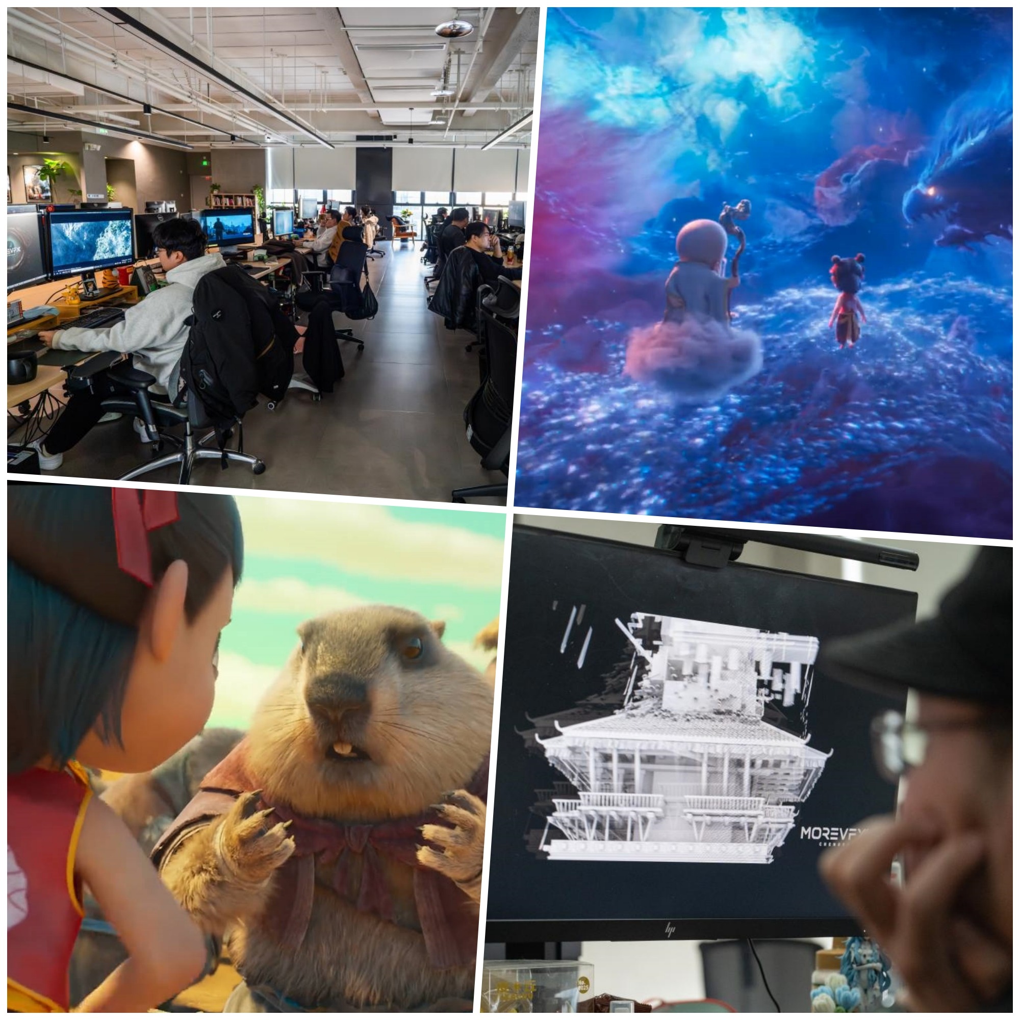 Japan matcha is made in China's Guizhou?｜China's new specialties | Statistics | Fun Fact | Our ...