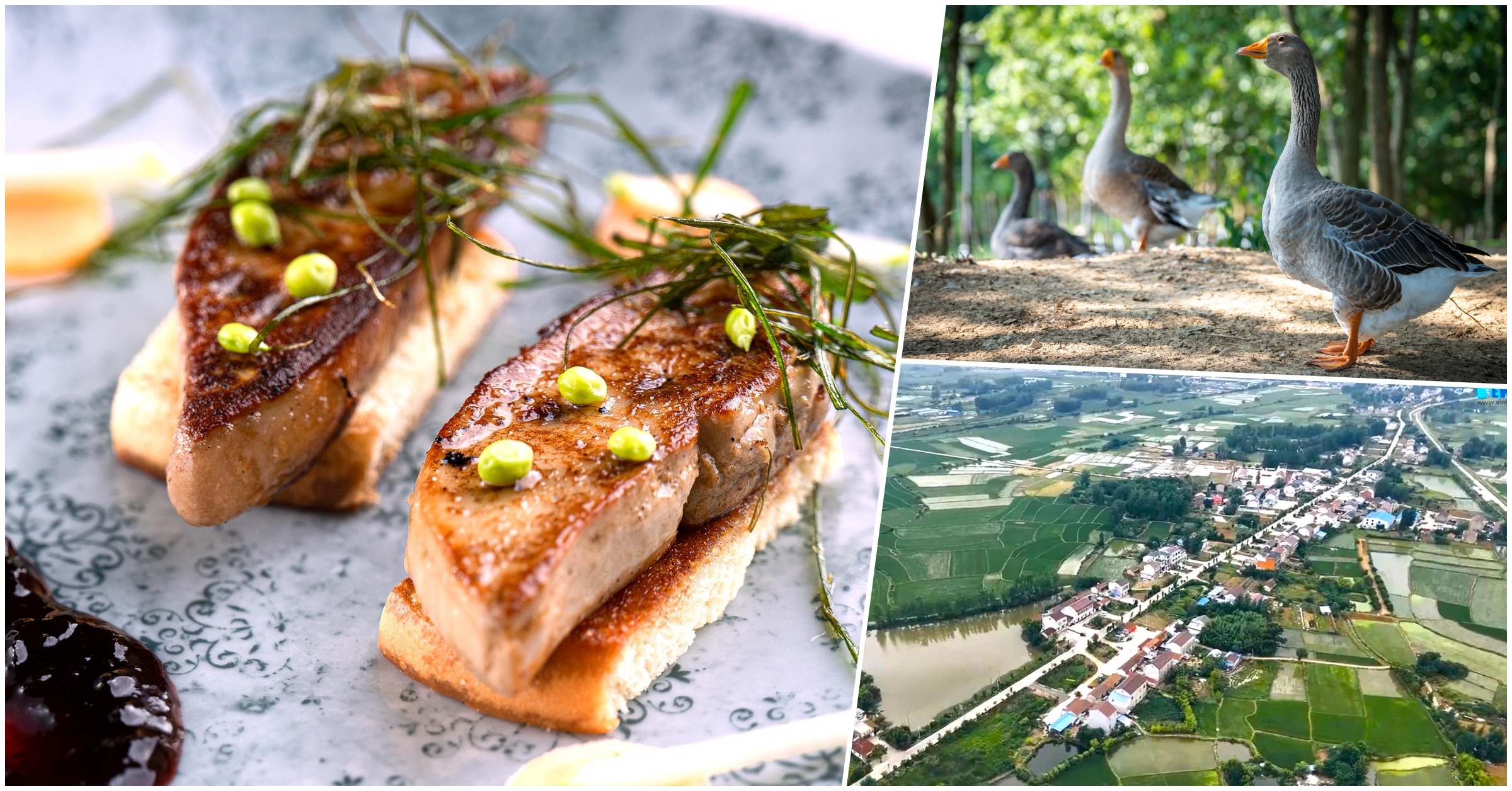 Li Ziqi is back! What has the Chinese influencer been doing in the past ...