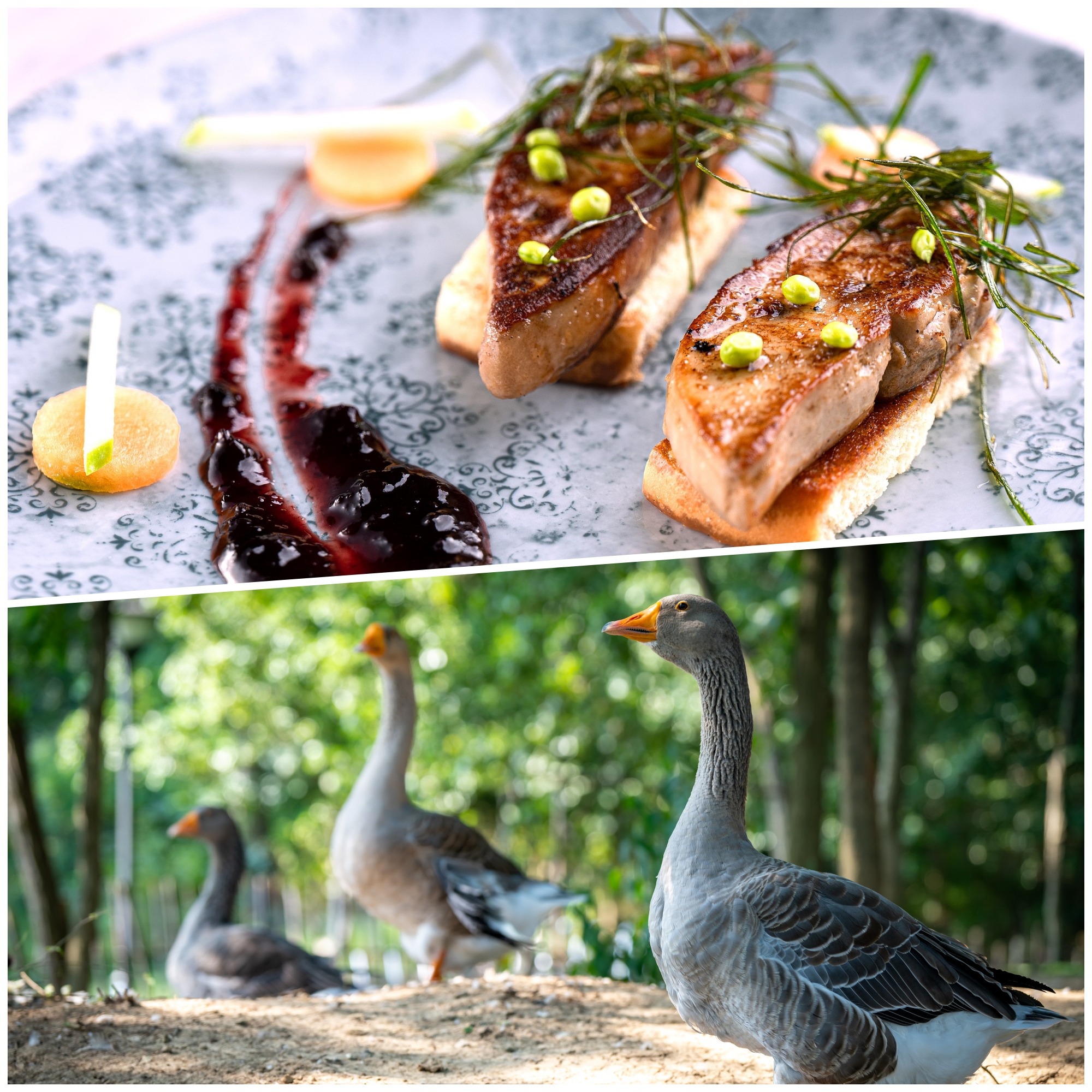 Unitree founder Wang Xingxing: A post-90s "robotics genius ...