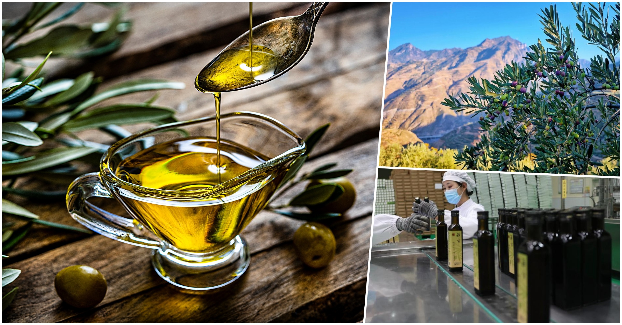 Story of Labubu's father: HK artist Kasing Lung | Innovation Pioneer ...