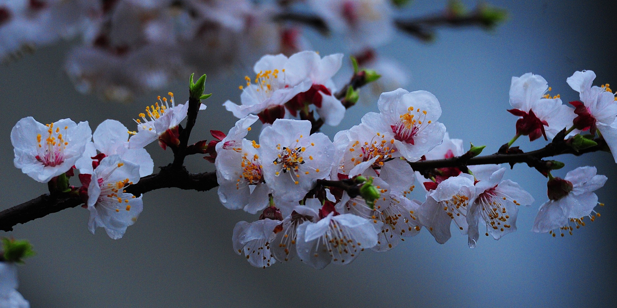 China's Monument to the People's Heroes completed | Today in History ...