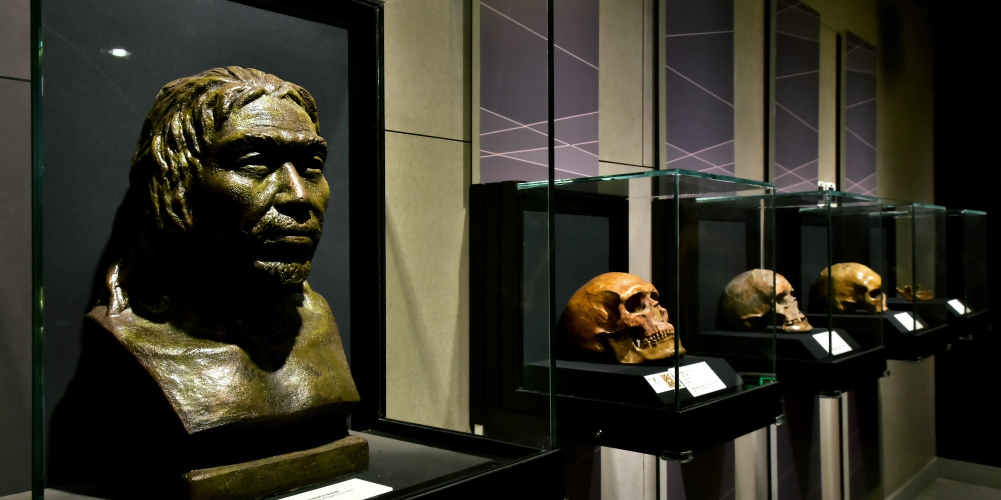 Peking Man's complete hominid skull unearthed | Today in History | Fun ...