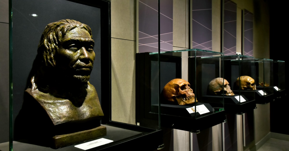 Peking Man's complete hominid skull unearthed | Today in History | Fun ...