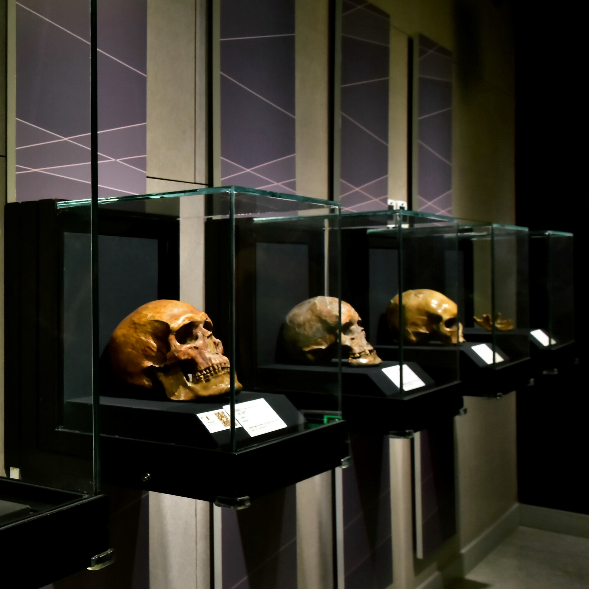 Chinese ancient bronze chime successfully replicated | Today in History ...