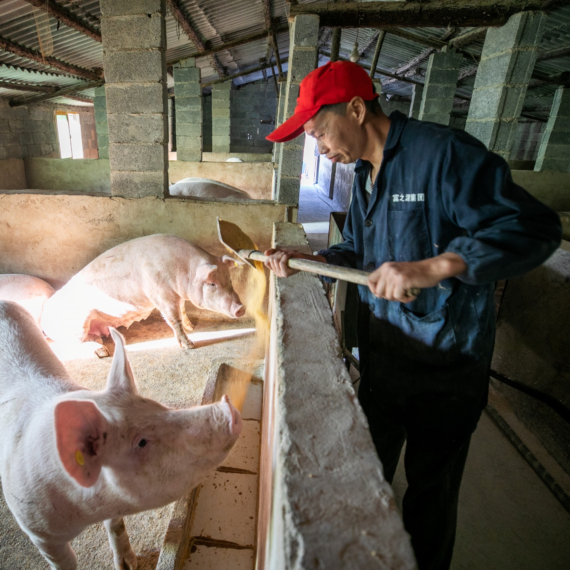 China’s poverty alleviation miracle | Extraordinary 75 Years | Feature ...
