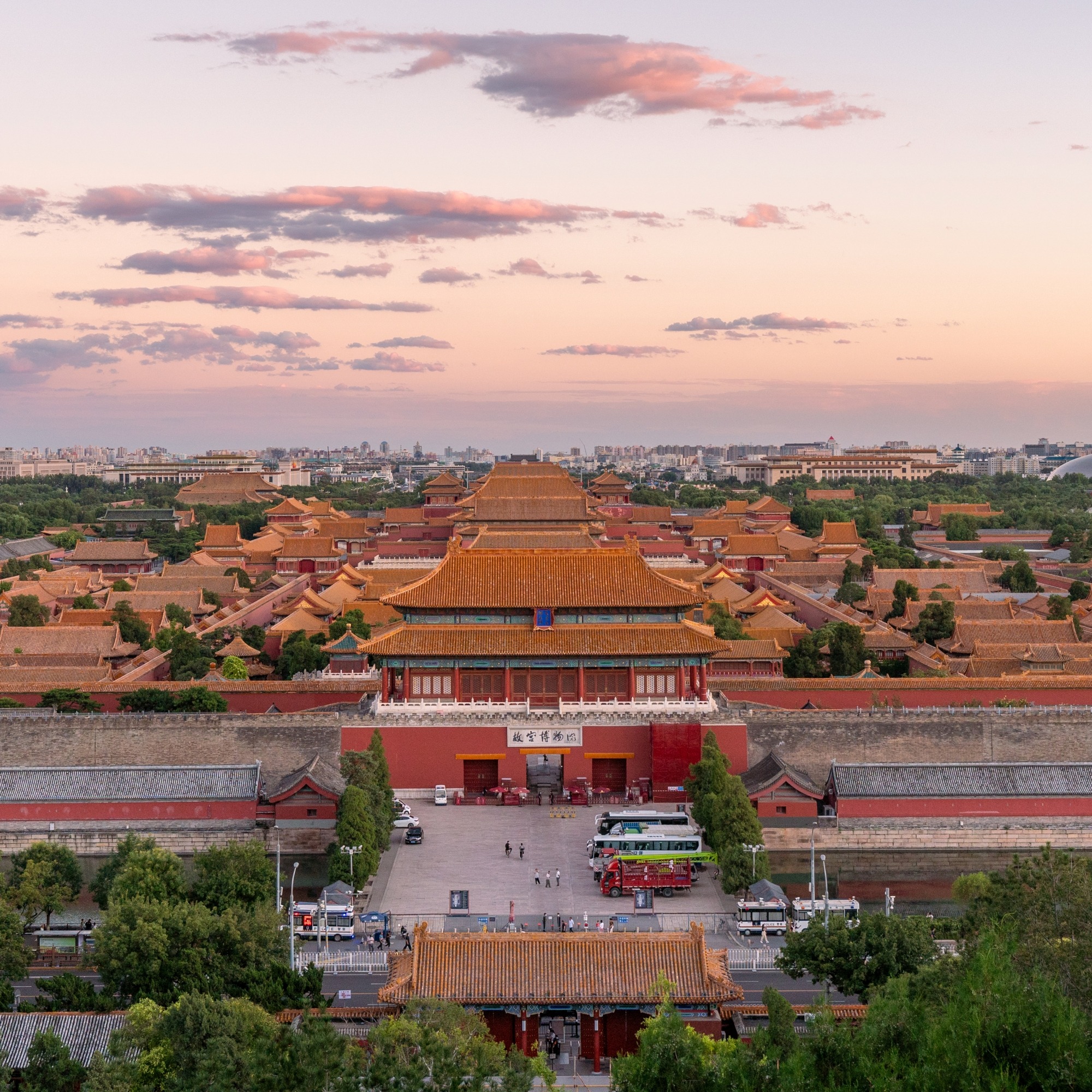 Mystery of the "ageless" ginkgo tree in China's Xi'an | Snapshot of China | Culture | Our China ...