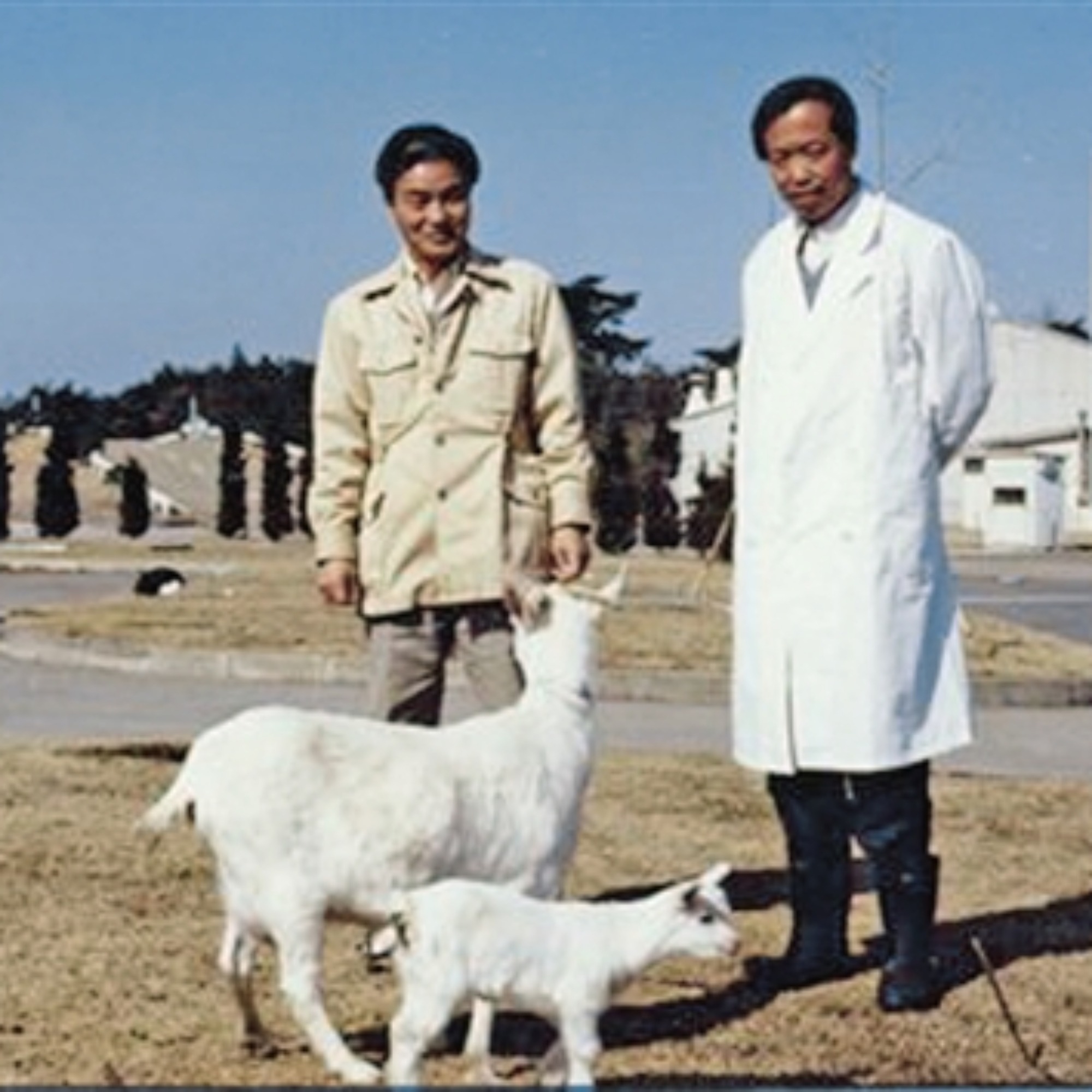 Xi Jinping first explained "Chinese Dream" | Today in History | Fun ...