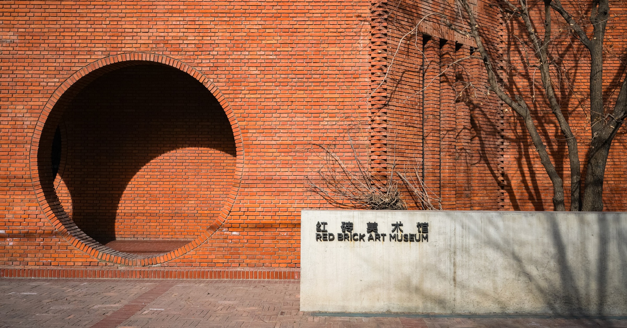 DJI founder Wang Tao's perfectionism made drones a symbol of Chinese ...