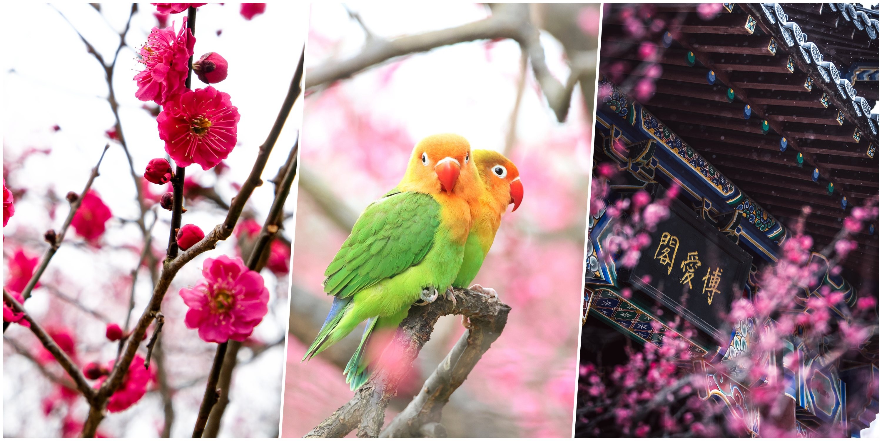 Guizhou Wujiang Village: A unique "Ink Jiangnan" wonderland | Travel ...