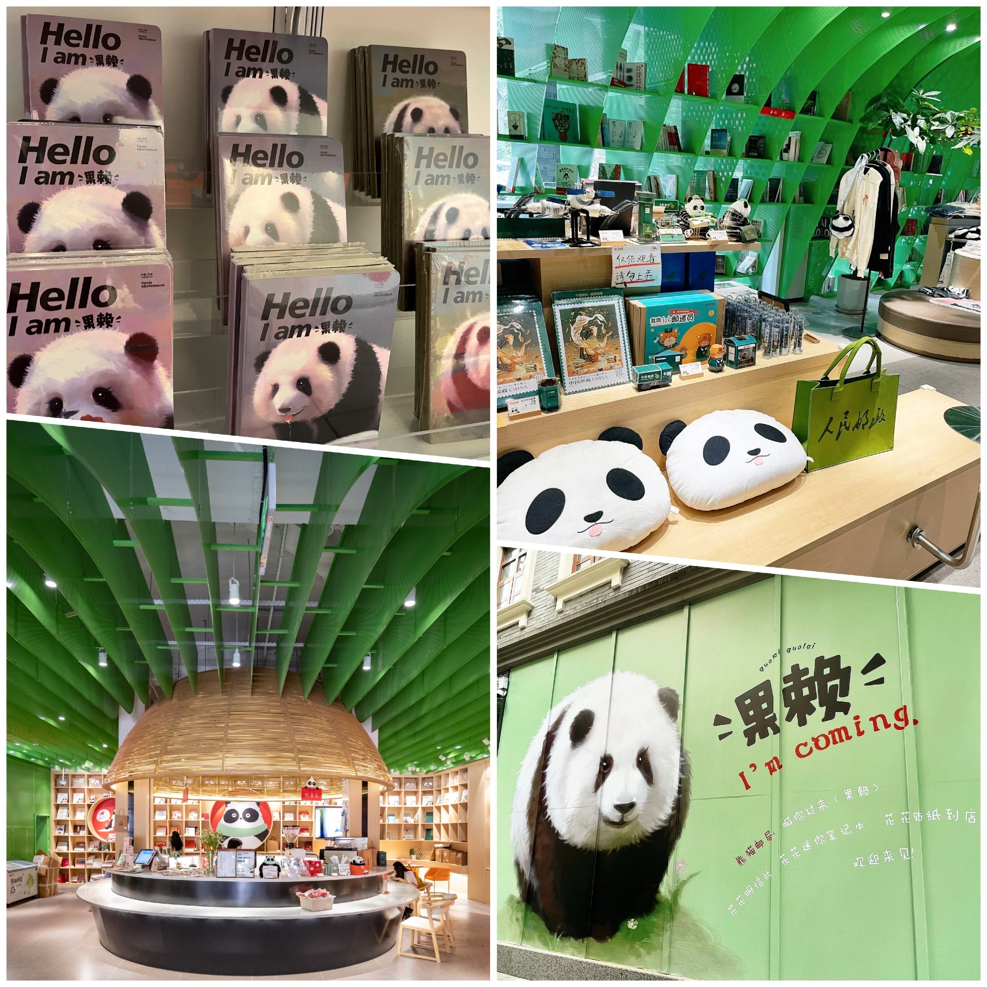成都必去！打卡全國最大熊貓郵局 把熊貓「和花」帶回家 | 旅遊風物 | 潮遊生活 | 當代中國