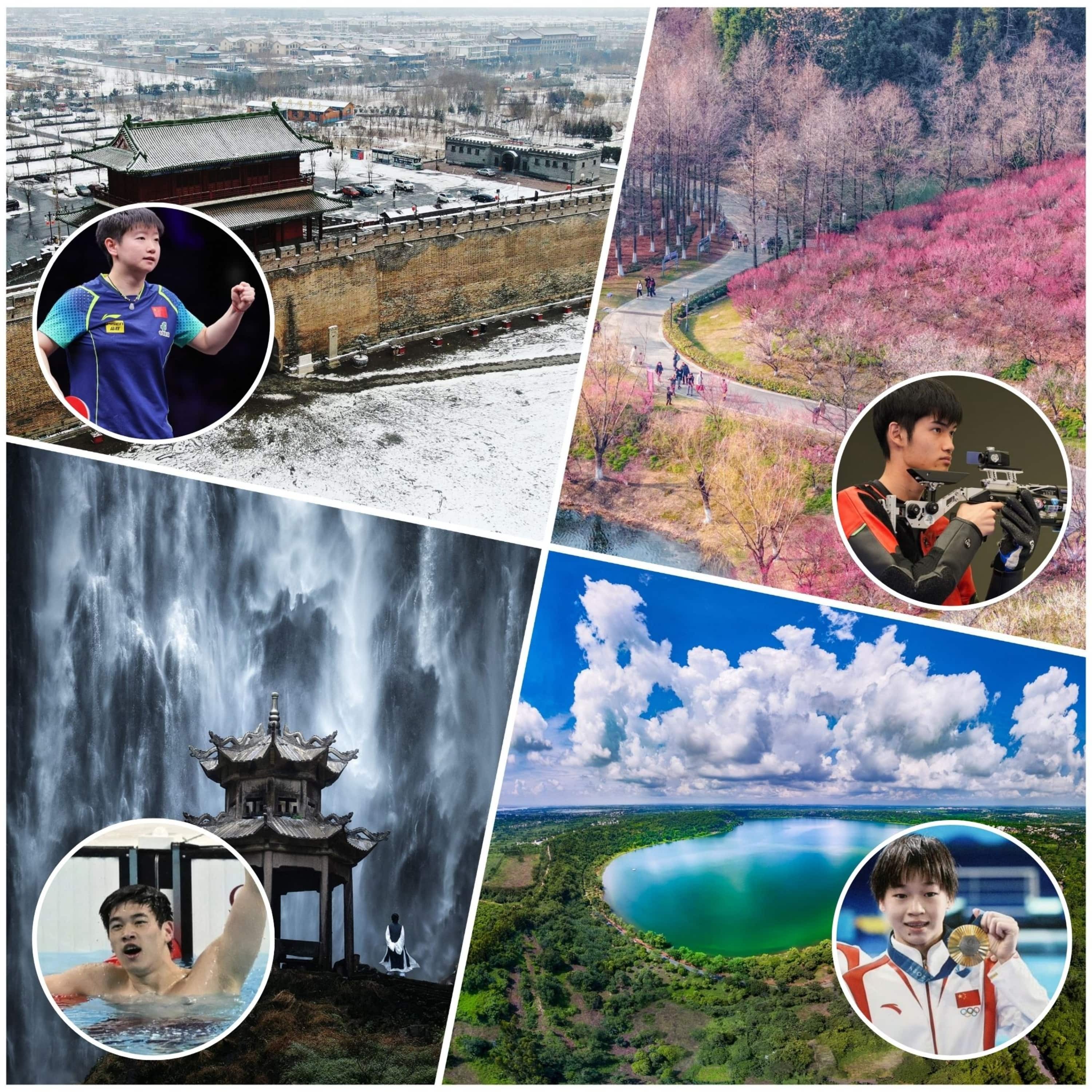 Chinese tennis star Zheng Qinwen: A "hardworking genius" | Athletes ...