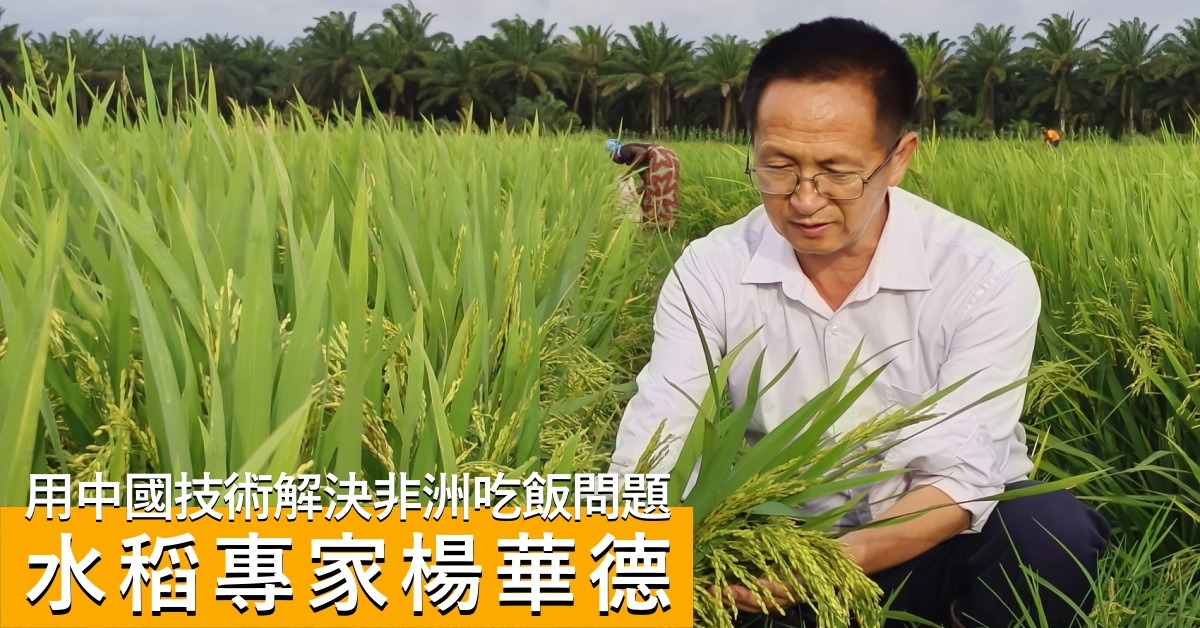 感动中国年度人物｜水稻专家杨华德 用中国技术解决非洲吃饭问题 | 杰出名人 | 非凡人事 | 当代中国