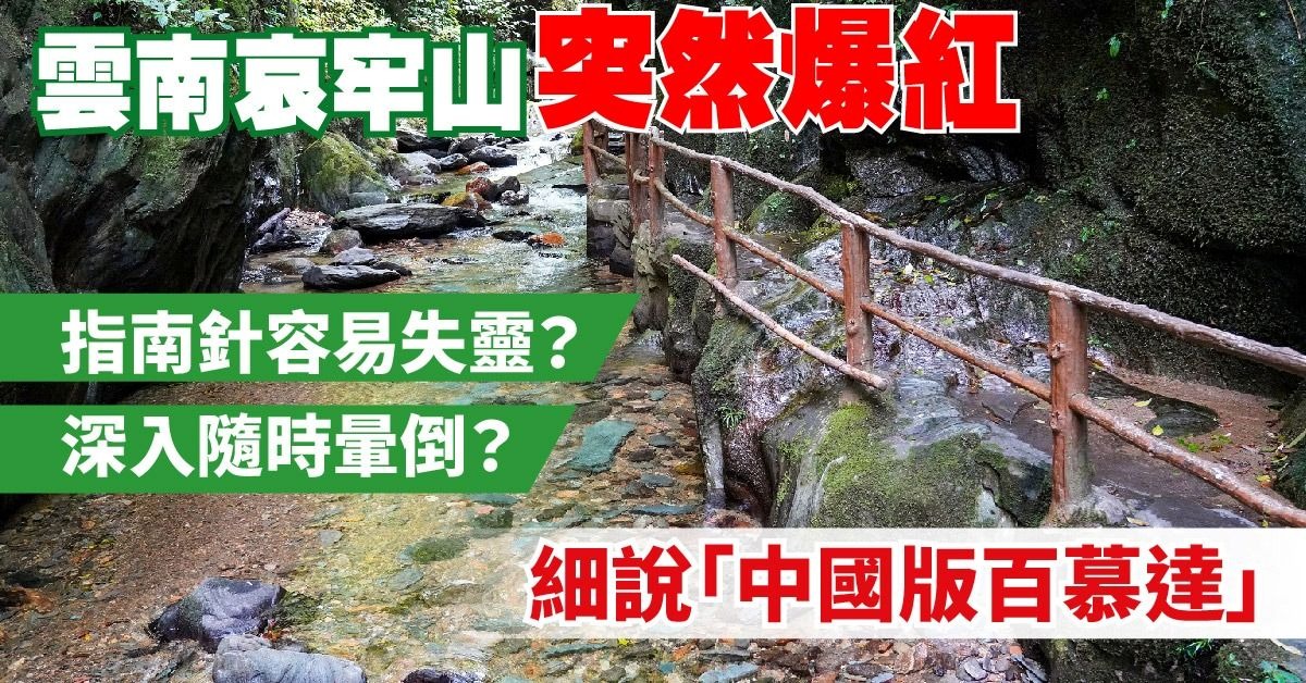 Why did Ailao Mountain suddenly become so popular? | Human Geography ...