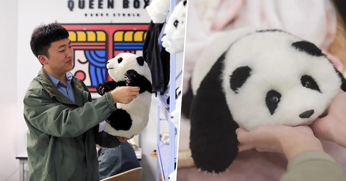 The perfect panda plush exported worldwide: One man's pursuit | Little ...