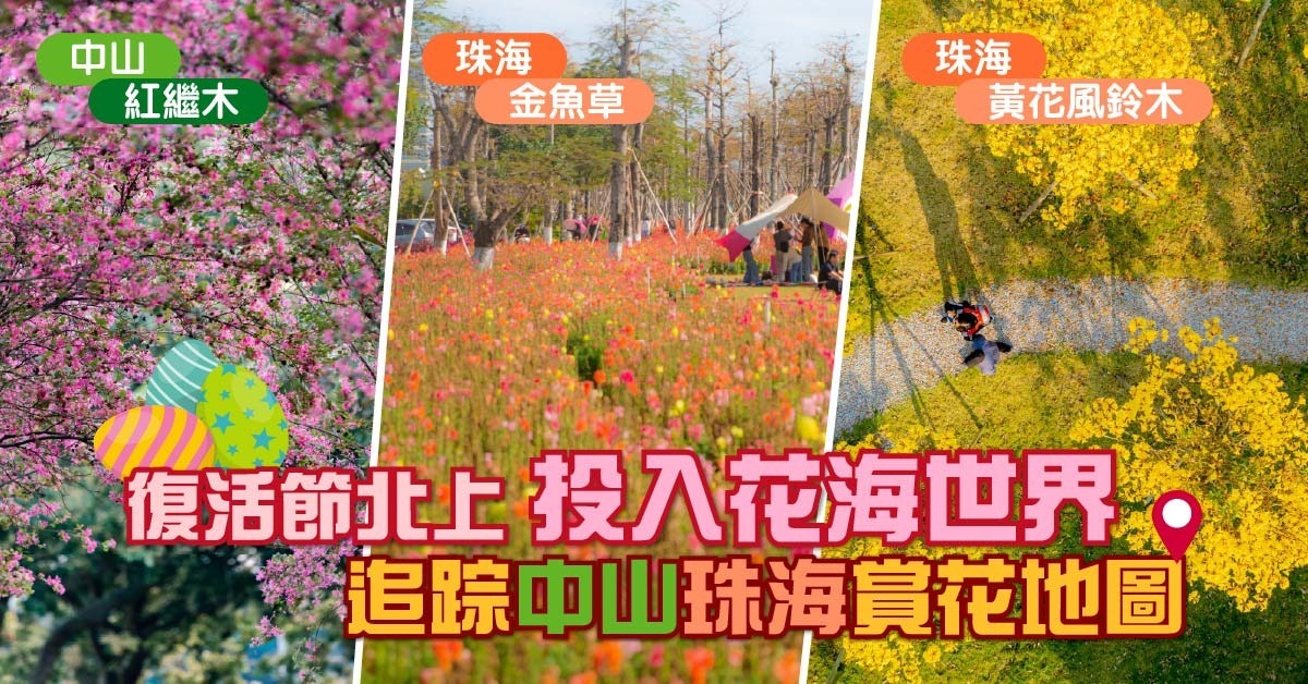 4 Best spring blossoms in Zhongshan and Zhuhai | One-hour Living Circle ...