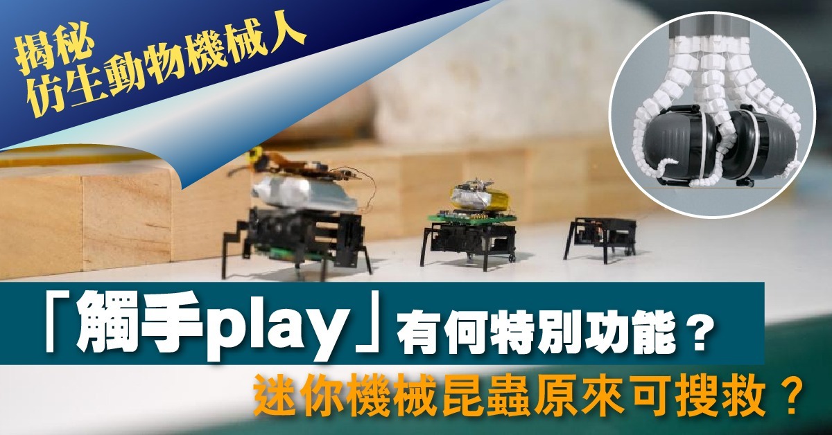 4 stunning Chinese bionic robot inspired by animals | Smart Living ...