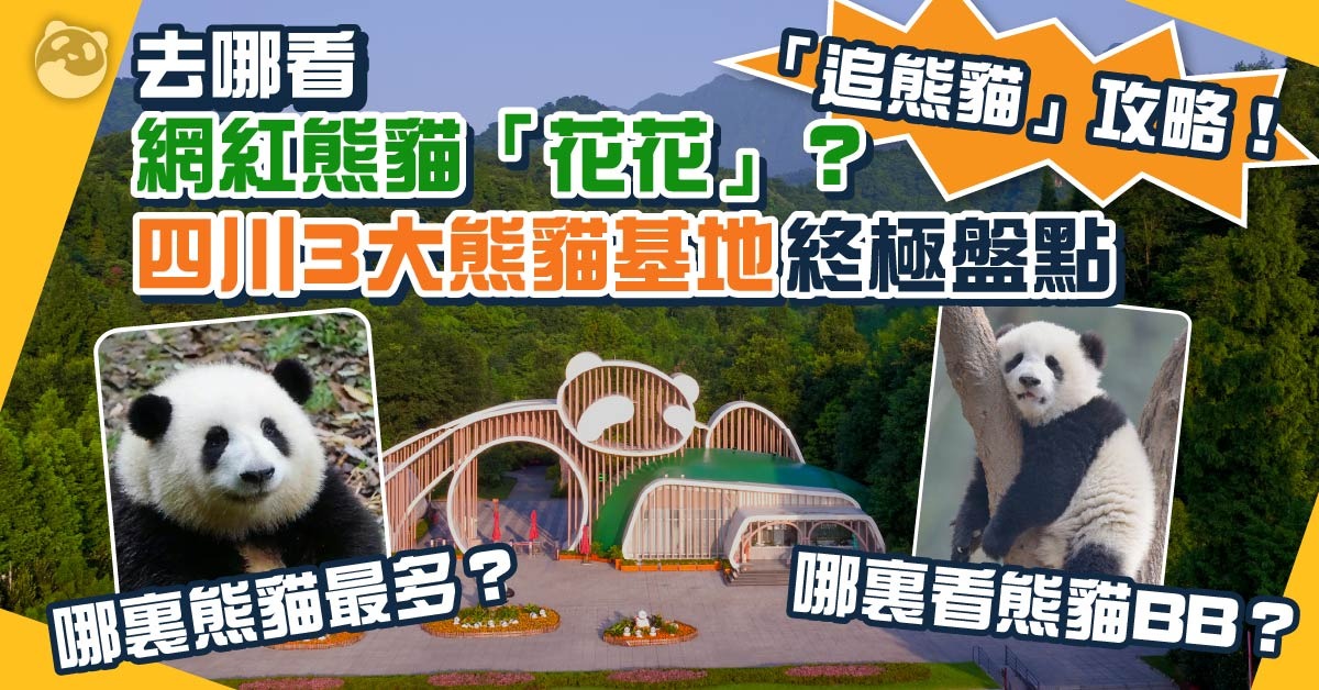 3 best places to see giant pandas in Sichuan | Travel & Leisure ...